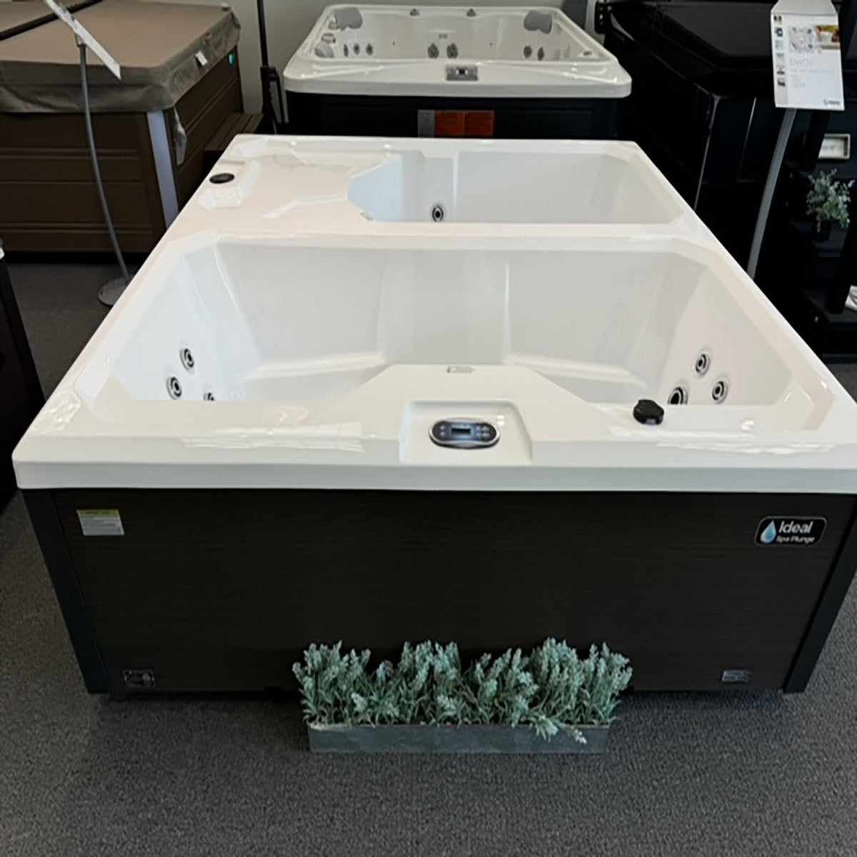 Ideal Spa Cold Plunge Dual Unit – HTSS Hot Tubs